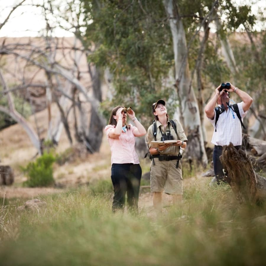 Arkaba Station, Flinders Ranges | Luxury Holidays in Australia | Scott ...