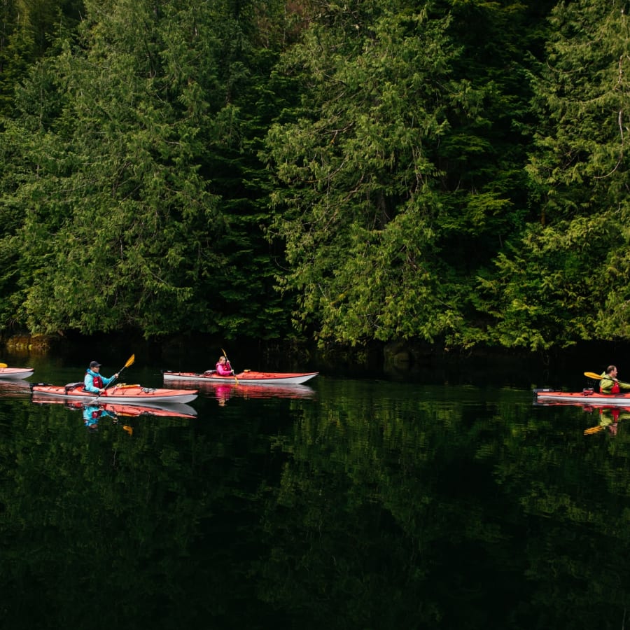 Nimmo Bay Resort, BC | Luxury Holidays in British Columbia | Scott Dunn UK