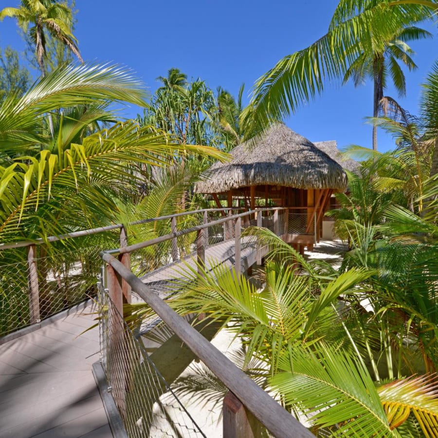 The Brando Private Island, Tahiti | Luxury Holidays in French Polynesia ...