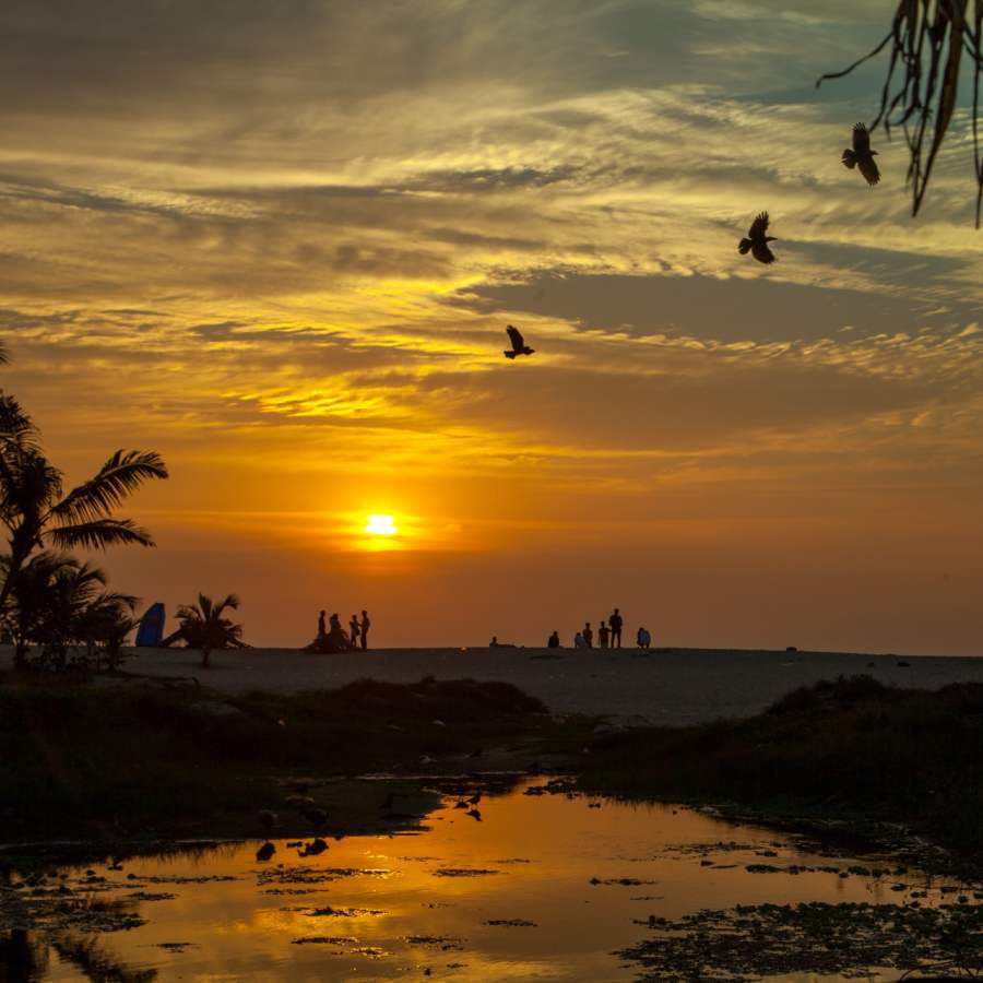 Kerala Holidays | Luxury Backwaters, Marari Beach & Cochin Travel ...