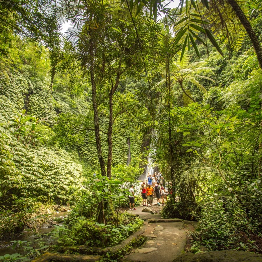 Munduk Moding Plantation Nature Resort and Spa, Bali | Scott Dunn UK