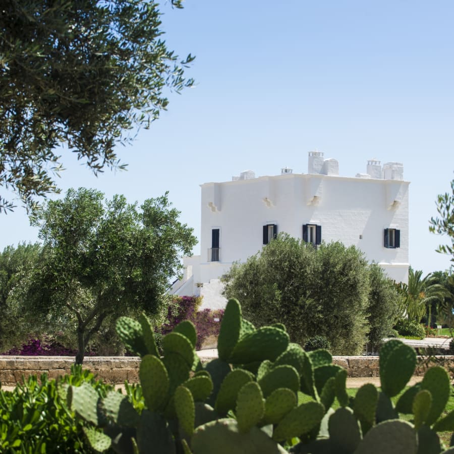 Masseria Torre Maizza, Puglia | Luxury Holidays in Italy | Scott Dunn UK