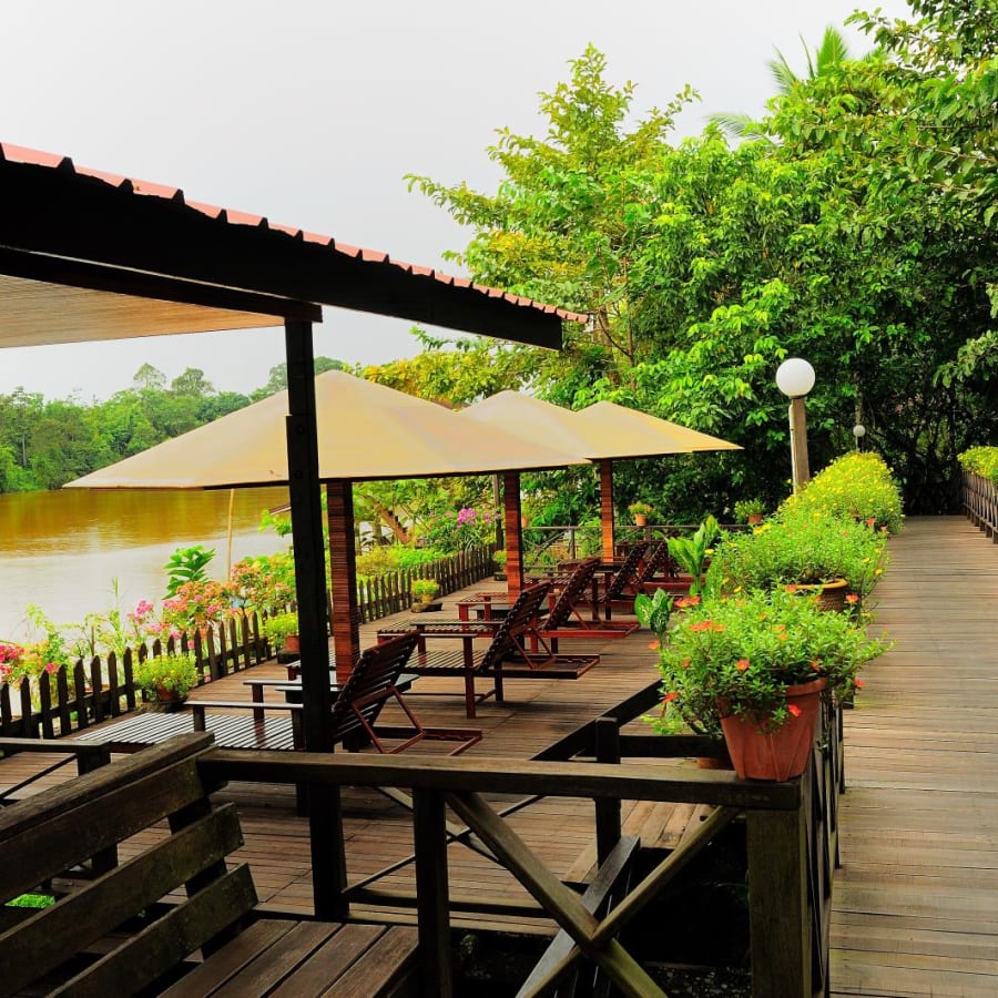 Kinabatangan Riverside Lodge | Tailor-made Borneo | Scott Dunn UK