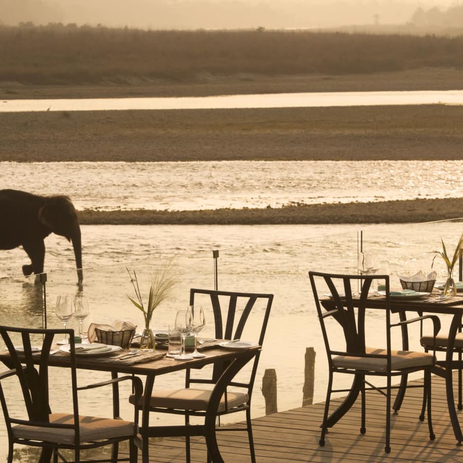 Meghauli Serai | Luxury Jungle Lodge in Nepal | Scott Dunn UK