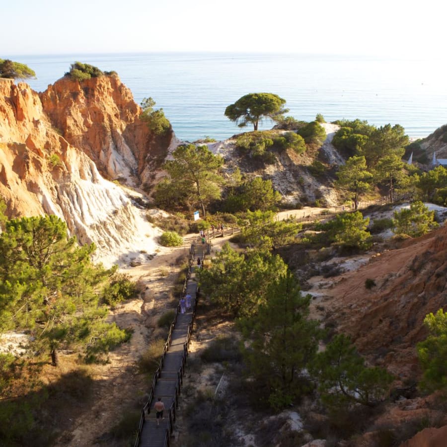 Pine Cliffs Resort, Portugal | Luxury Hotel with Kids Club | Scott Dunn UK