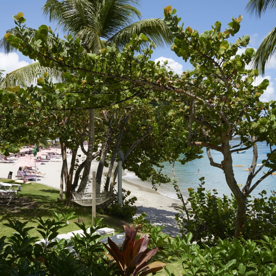 BodyHoliday, St Lucia | Caribbean Luxury Hotel | Scott Dunn UK