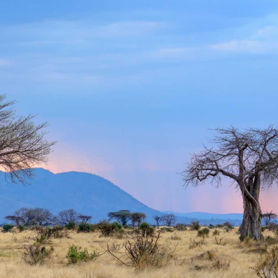 Jabali Ridge, Ruaha National Park | Luxury Tanzania | Scott Dunn UK