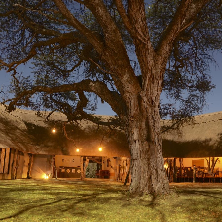 Camelthorn Camp, Hwange National Park, Zimbabwe | Scott Dunn UK