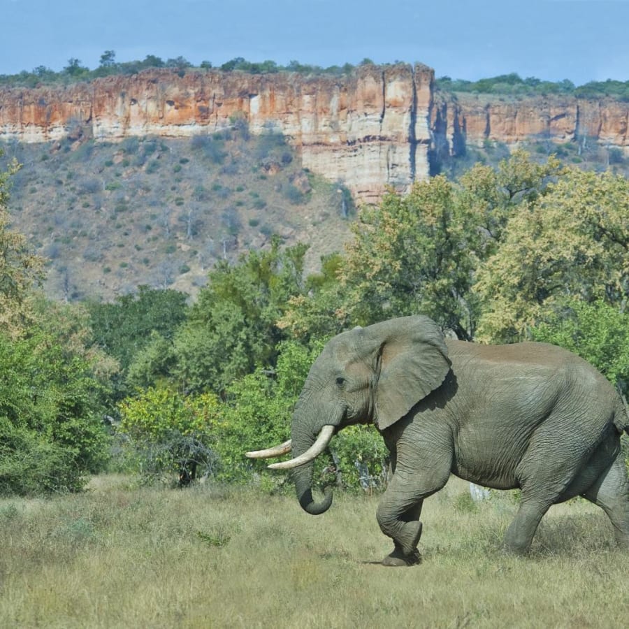 Chilo Gorge Safari Lodge | Tailor-made Safari in Zimbabwe | Scott Dunn UK