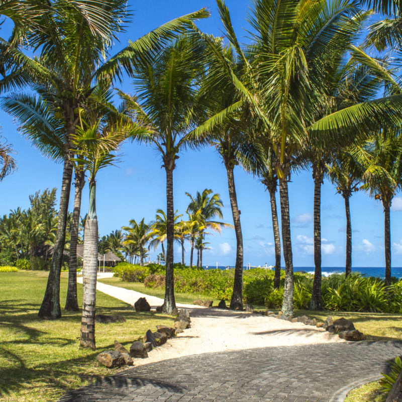 Shanti Maurice Resort | Mauritius Luxury Hotels | Scott Dunn